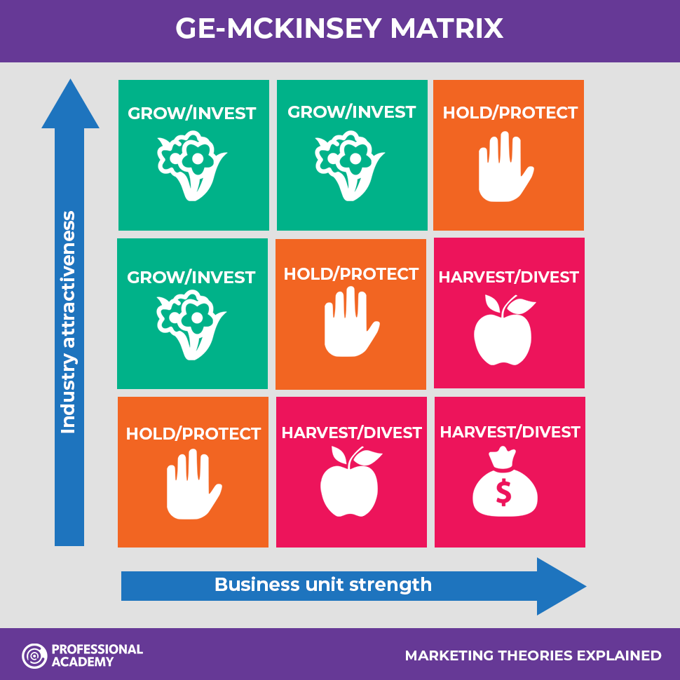 Marketing Theories GE Matrix
